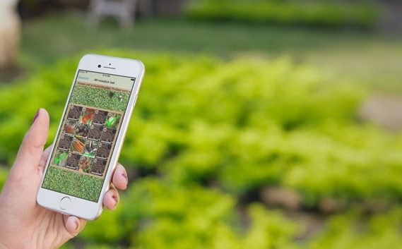 Moestuin apps: met deze 7 apps kweek je zelf groente