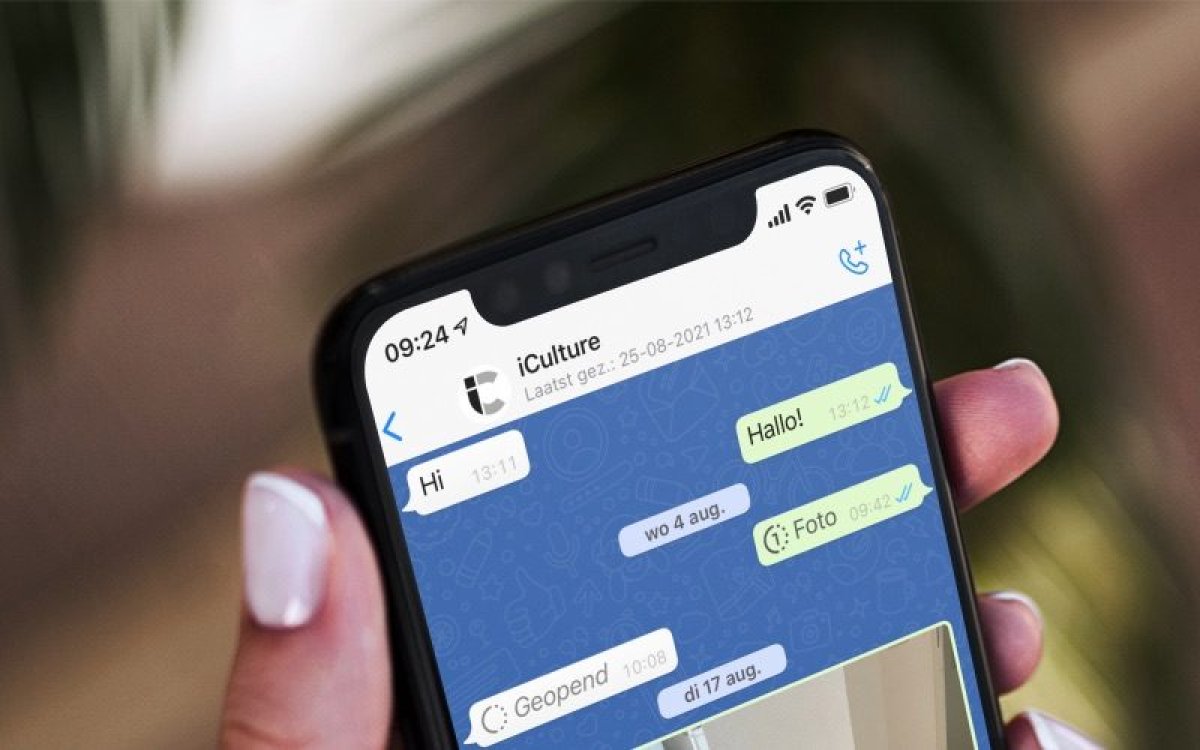 Meldingen in WhatsApp aanpassen: geluid, dempen, preview en meer